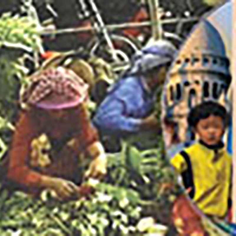 Communities Around the World – SchoolVideos.com