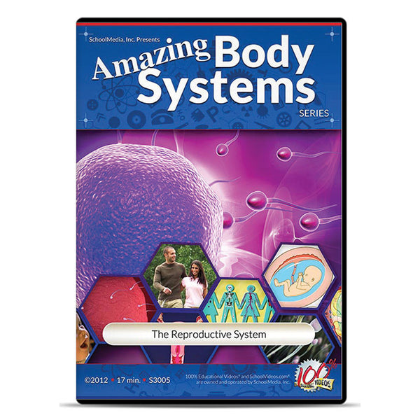 The Reproductive System: Amazing Body Series – SchoolVideos.com